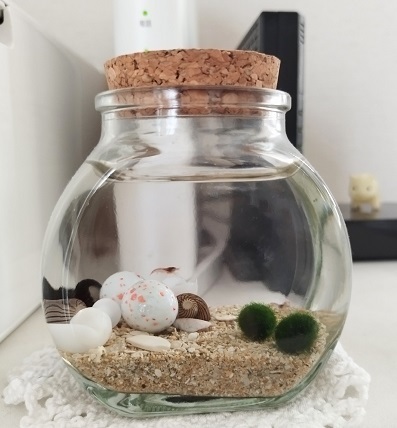 小さな鎧兜出しました: つぶやき